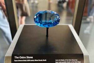 Natural History Museum London | The Travel Wiki